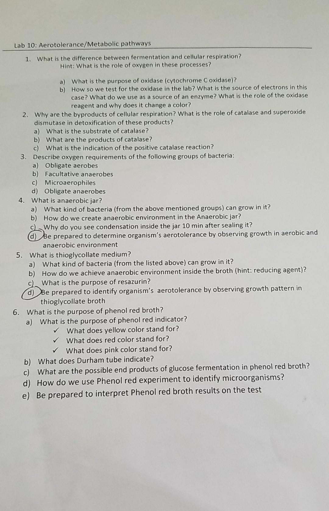 Solved Lab 10: Aerotolerance/Metabolic pathways 1. What is | Chegg.com