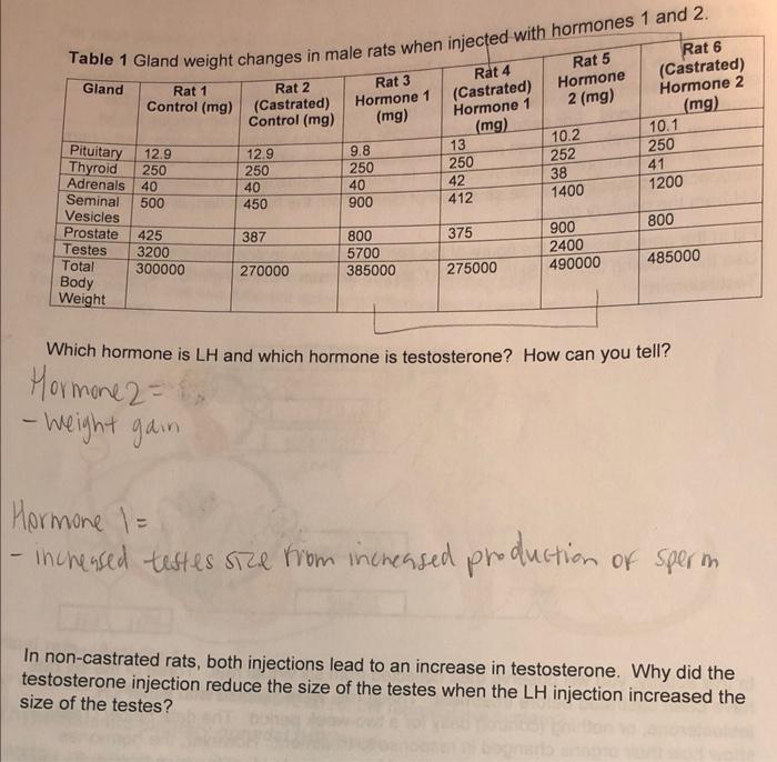 Solved which hormone is LH and which hormone is | Chegg.com
