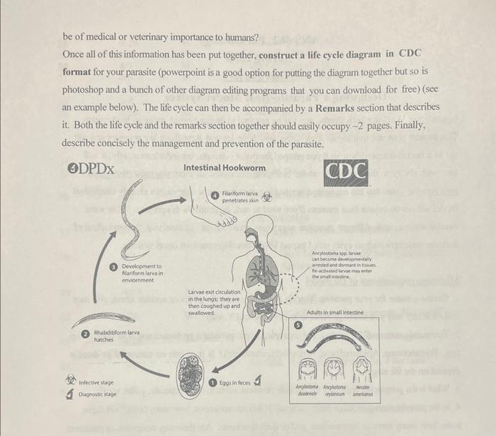 Solved 1. Create a name for your parasite. You do not need a | Chegg.com