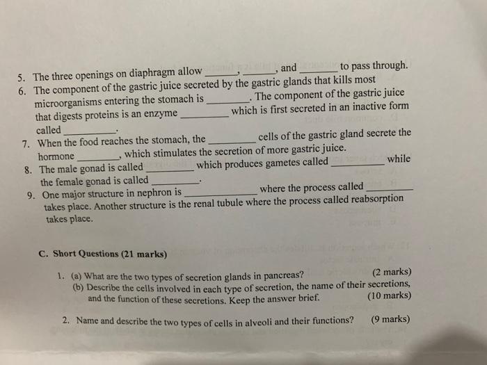Solved A. Multiple Choice (15 marks, 1 mark @) 1. Where does | Chegg.com