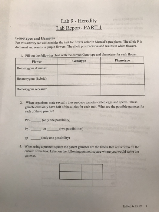 Solved Lab 9 -Heredity Lab Report- PART 1 Genotypes and | Chegg.com Solved Lab 9 -Heredity Lab Report- PART 1 Genotypes and | Chegg.com
