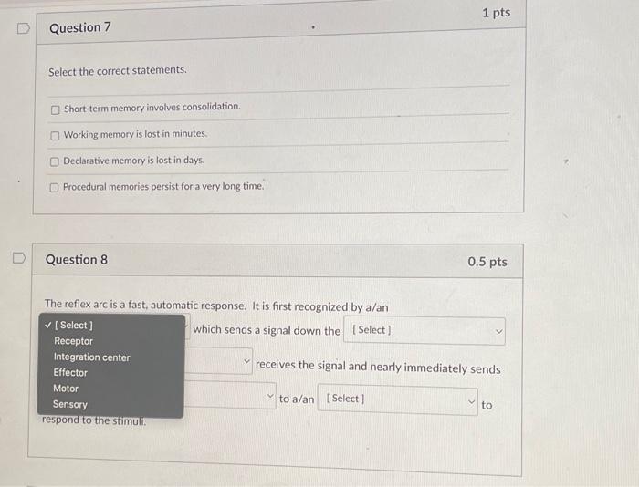 Solved Select the correct statements. Short-term memory | Chegg.com