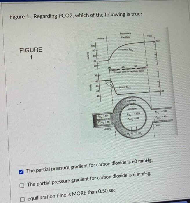 Solved Figure 1. Regarding PCO2, which of the following is | Chegg.com