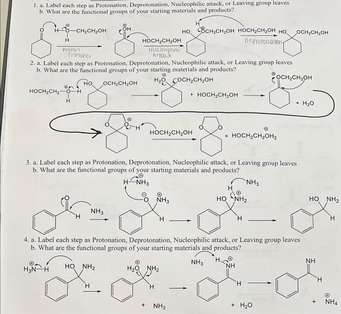 Solved 1. a. Label each step as Protonation, Deprotonation, | Chegg.com