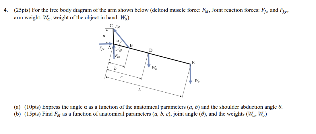 Solved (25pts) ﻿For the free body diagram of the arm shown | Chegg.com