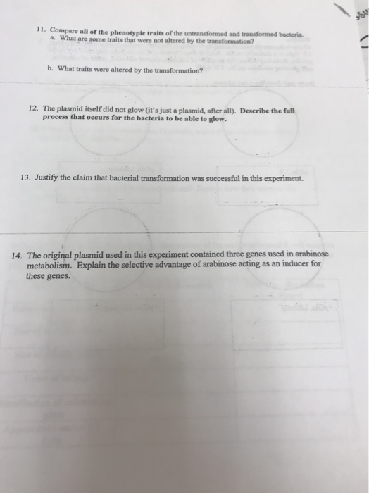 Solved о pGlo Lab Questions она е в Pre-lab questions: 1. | Chegg.com