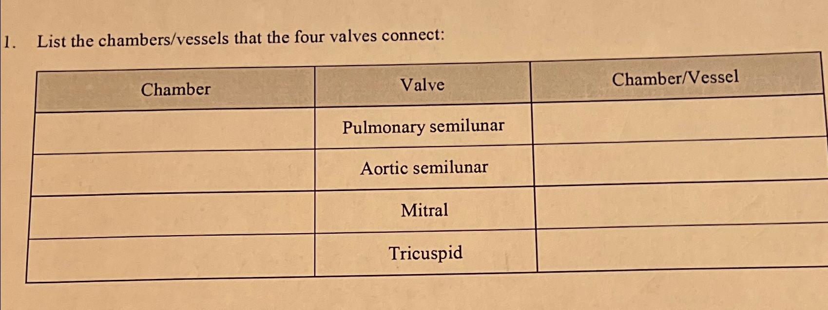 Solved List the chambers/vessels that the four valves | Chegg.com