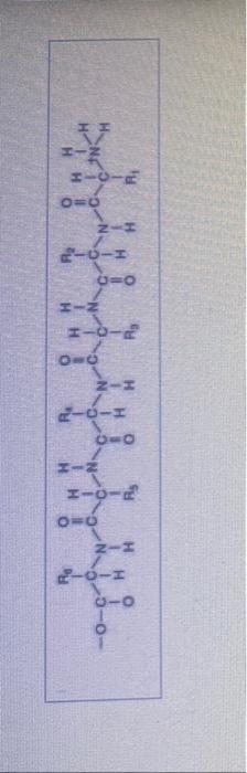 Solved What is the highest structural level of protein | Chegg.com