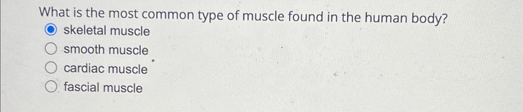 Solved What is the most common type of muscle found in the | Chegg.com