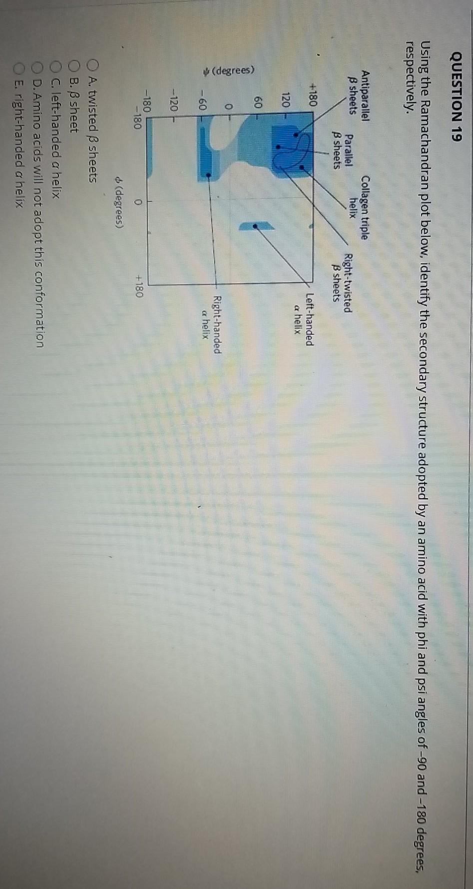 Solved QUESTION 19 Using the Ramachandran plot below, | Chegg.com