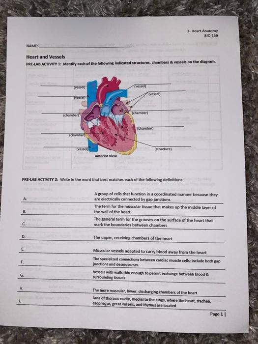 Solved 3- Heart Anatomy BIO 169 NAME Heart and Vessels | Chegg.com