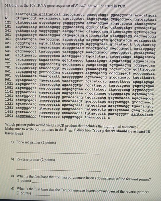 Solved 5) Below is the 16 S rRNA gene sequence of E. coli | Chegg.com