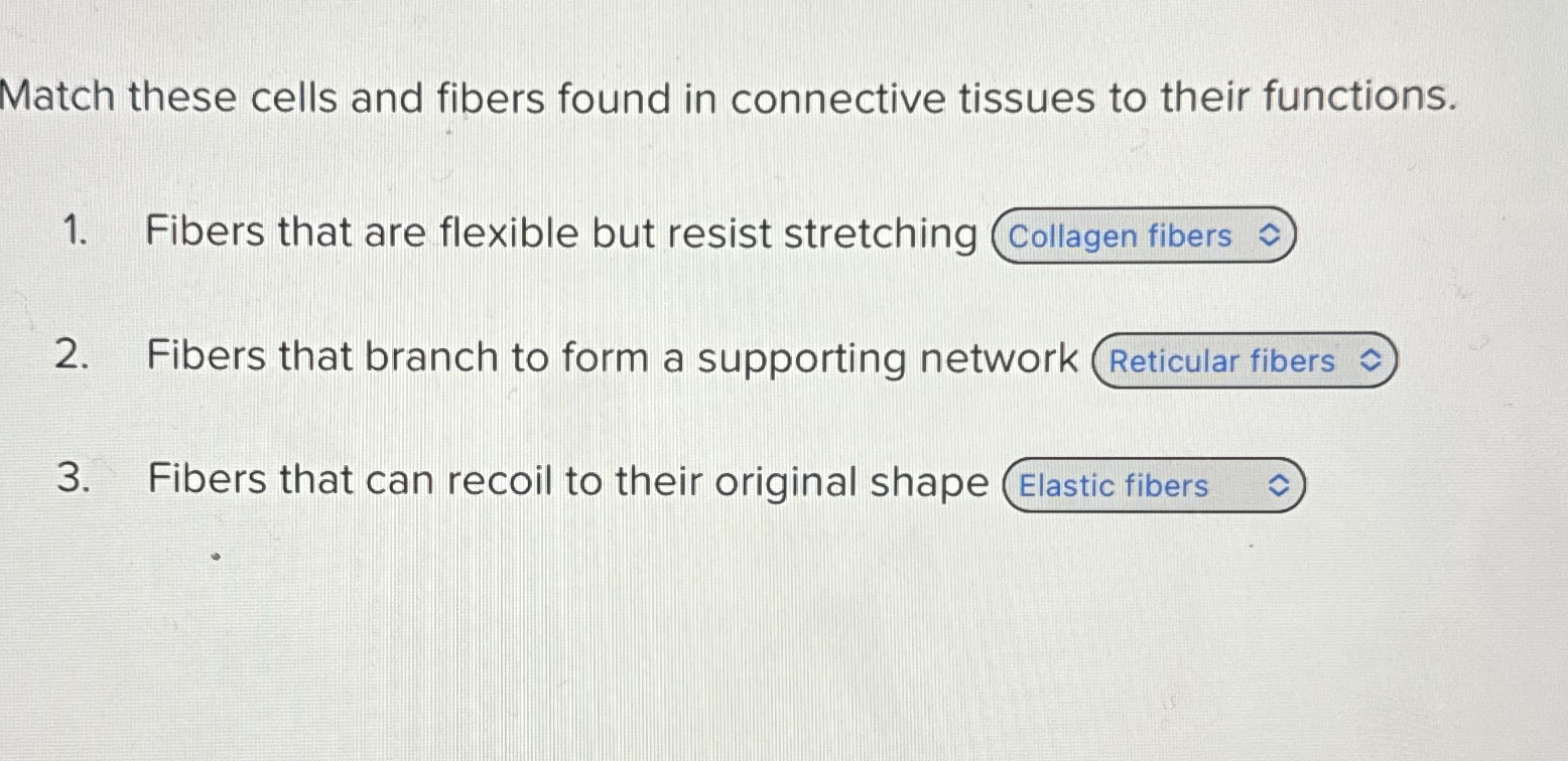 Solved Match these cells and fibers found in connective | Chegg.com