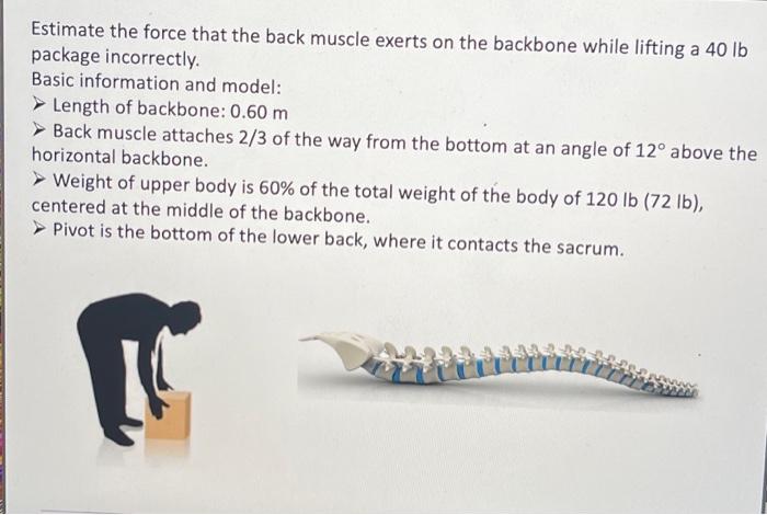 Solved For the lecture example of lifting a packet, what is | Chegg.com