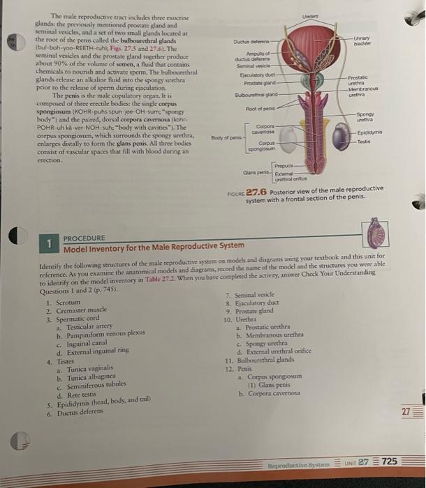 Solved please I need help using procedure 1 informations to | Chegg.com