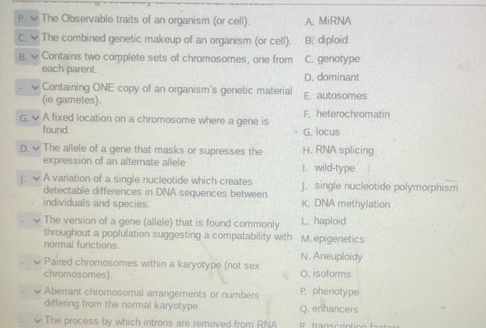 Solved P. The Observable traits of an organism (or cell). C. | Chegg.com