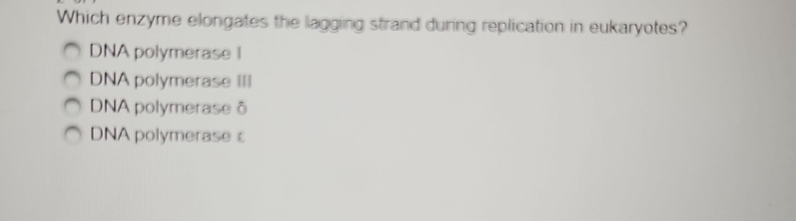 Solved Which enzyme elongates the lagging strand during | Chegg.com