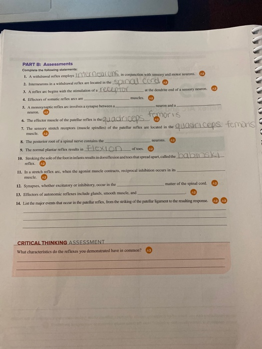 Solved femons PART B: Assessments Complete the following | Chegg.com