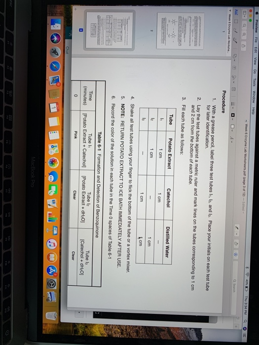 Solved Week 6 Enzyme Lab Worksheets.pdf (page 4 of 12) | Chegg.com