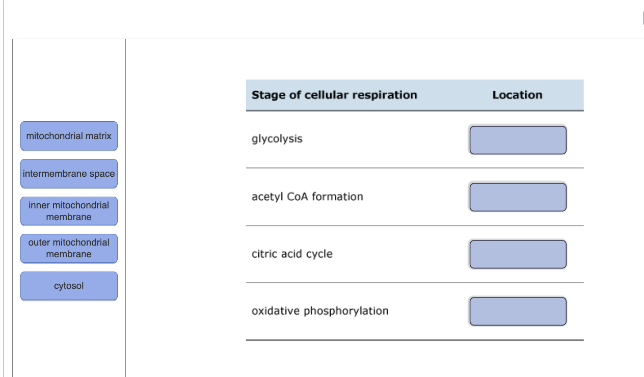 Solved Stage of cellular respirationLocationmitochondrial | Chegg.com