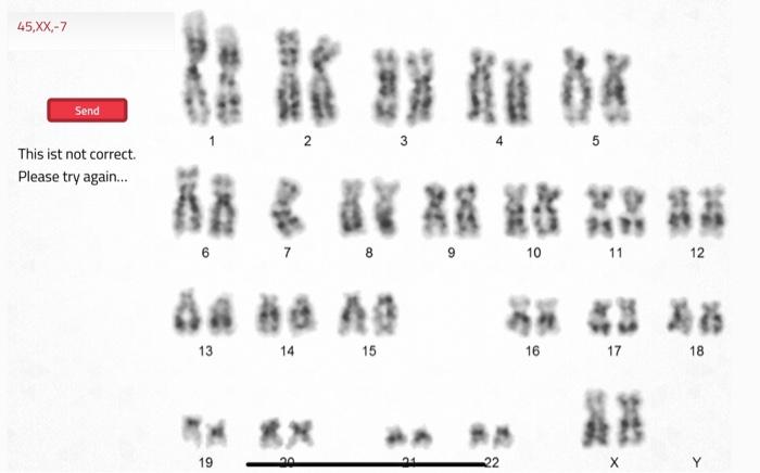 Solved what is the karyotype according to ISCN 2016 | Chegg.com