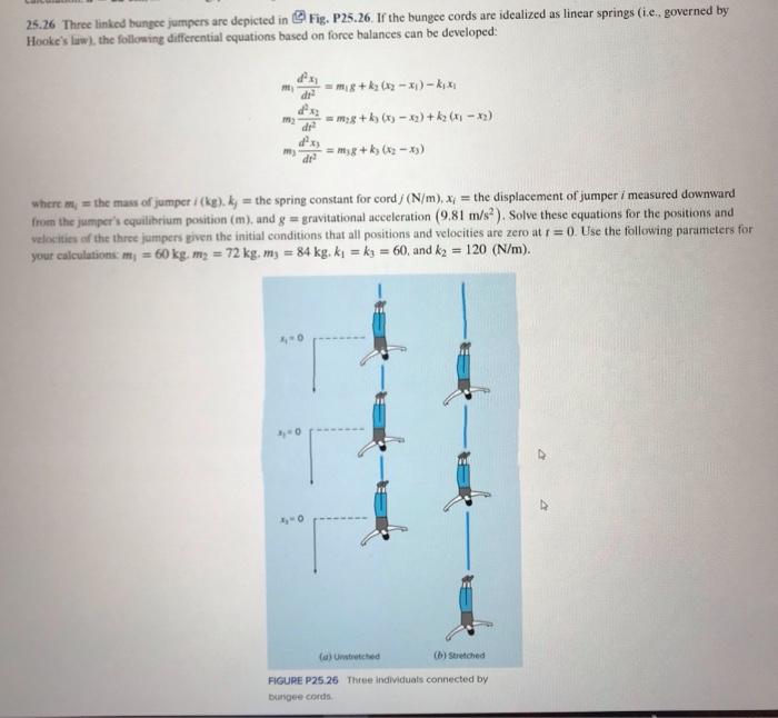 Solved 25.26 Three linked bungee jumpers are depicted in | Chegg.com