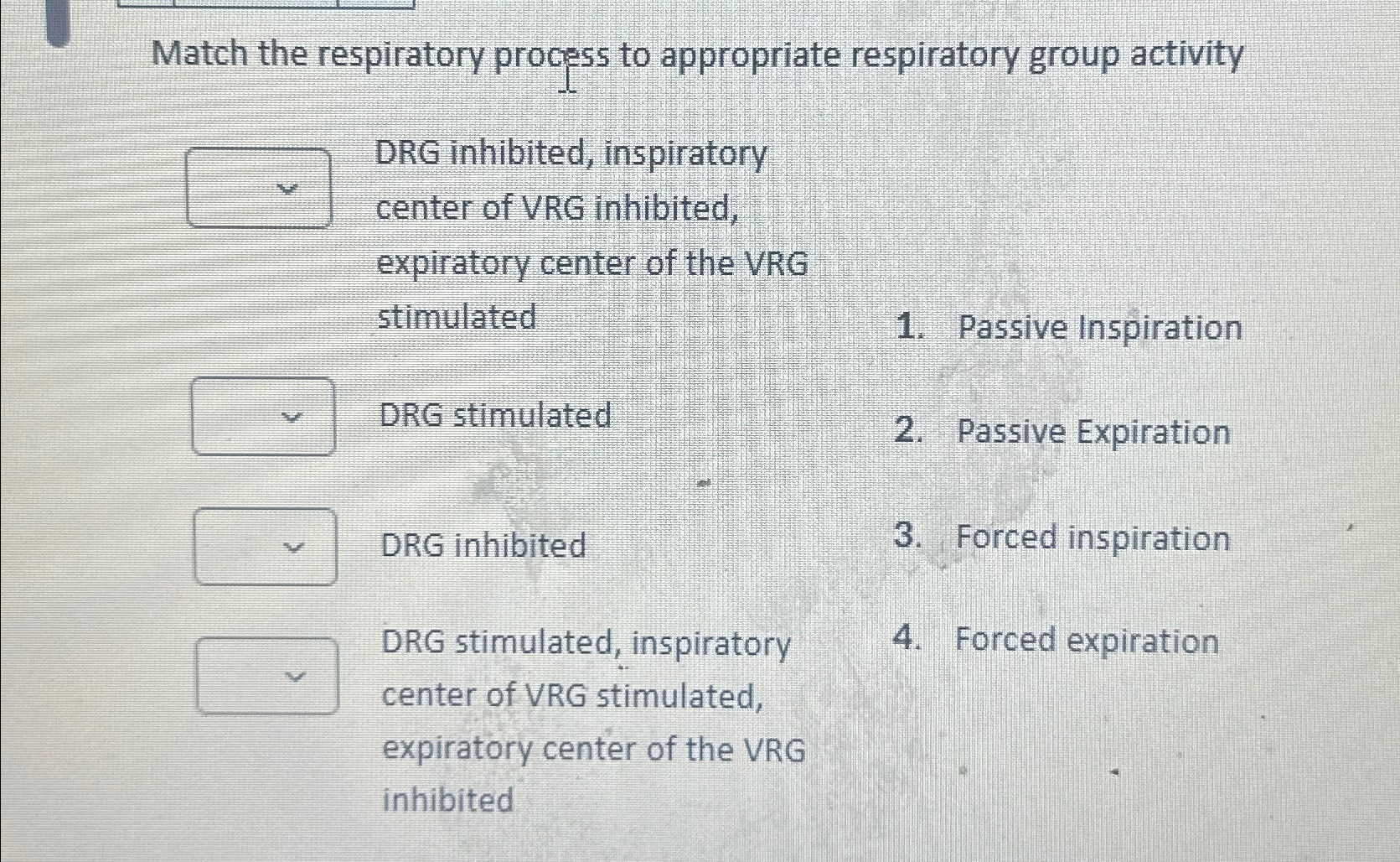 Solved Match the respiratory process to appropriate | Chegg.com