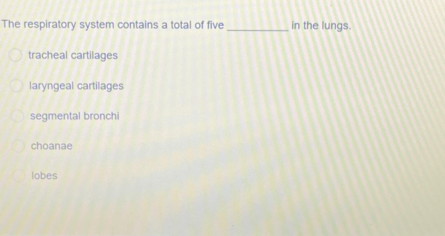 Solved The respiratory system contains a total of five in | Chegg.com