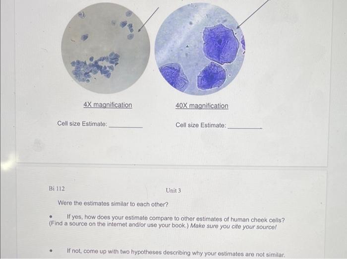 4X magnification 40x magnification Cell size | Chegg.com