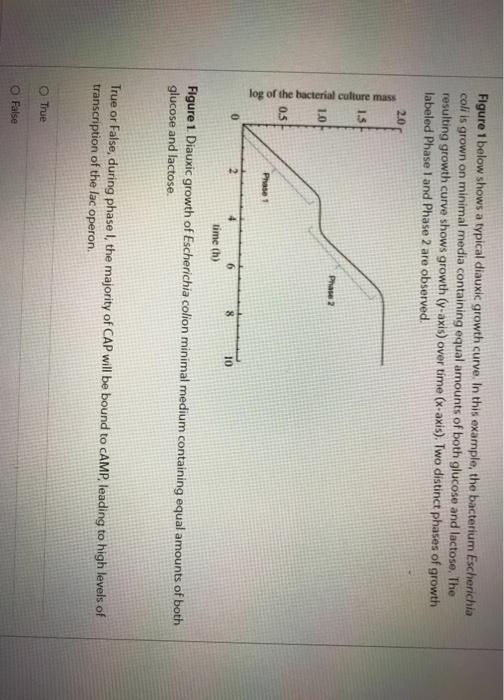 Solved Figure 1 below shows a typical diauxic growth curve. | Chegg.com