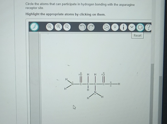 Solved Circle the atoms that can participate in hydrogen | Chegg.com