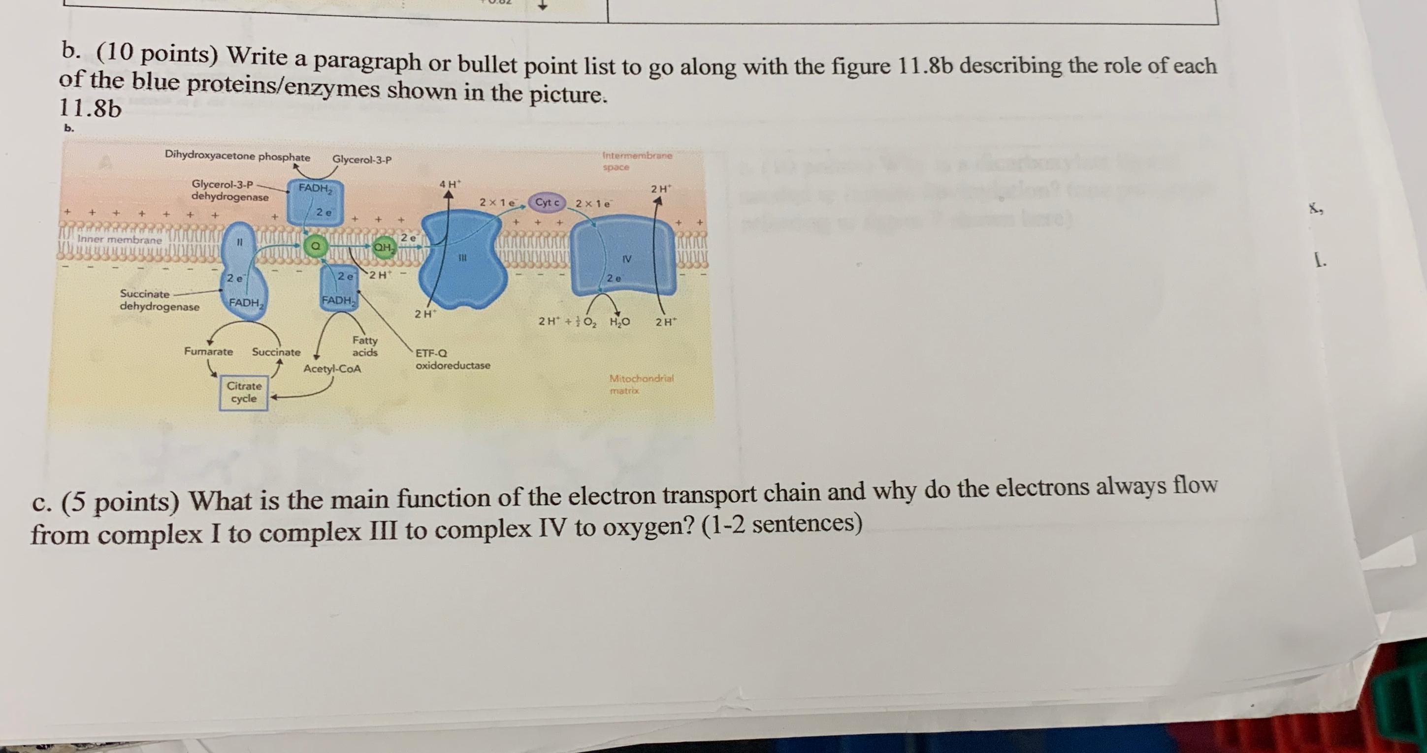 Solved b. (10 ﻿points) ﻿Write a paragraph or bullet point | Chegg.com