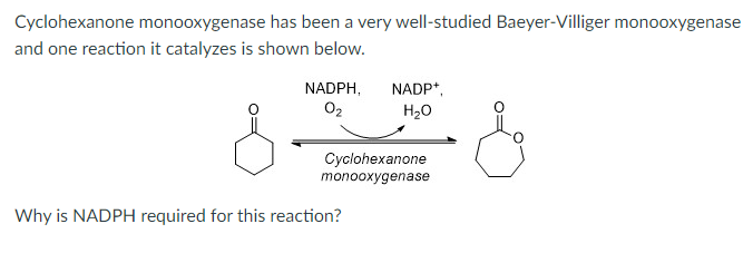Solved Cyclohexanone monooxygenase has been a very | Chegg.com