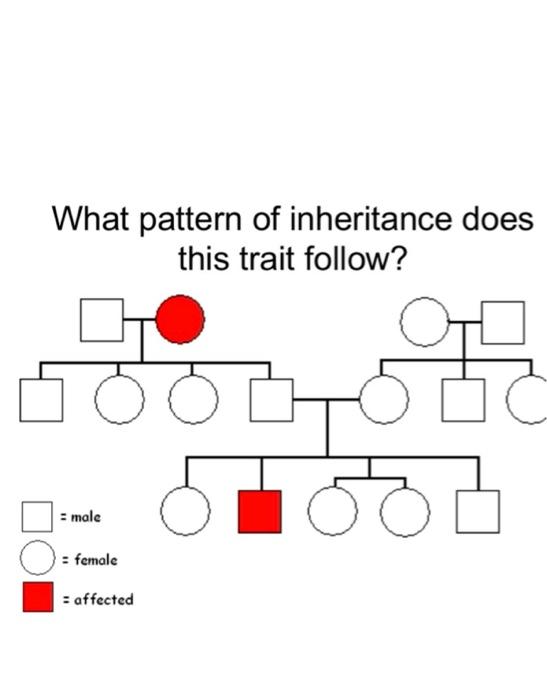 Solved What pattern of inheritance does this trait follow? | Chegg.com