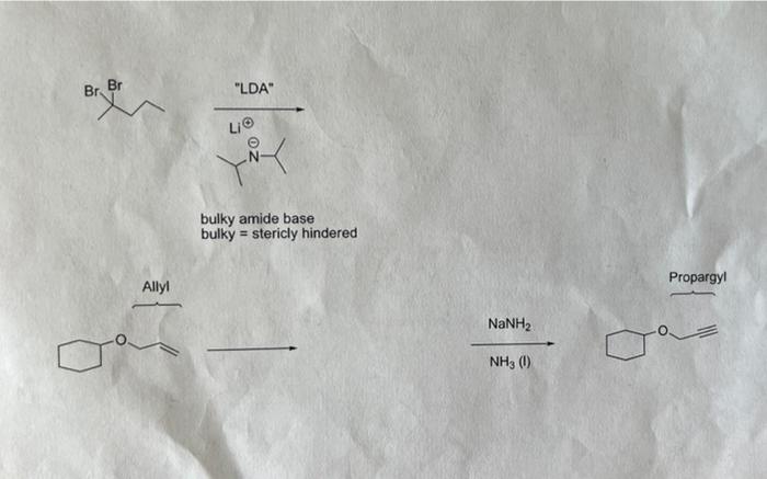 Solved bulky amide base bulky = stericly hindered | Chegg.com