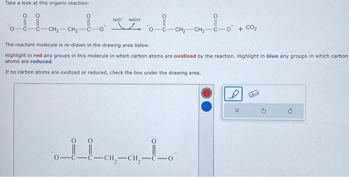 Solved Take a look at this organic reaction: The reactant | Chegg.com