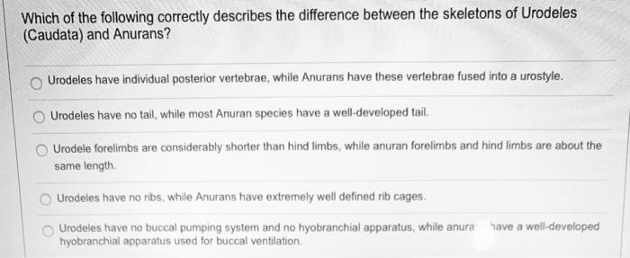 Solved Which of the following correctly describes the | Chegg.com