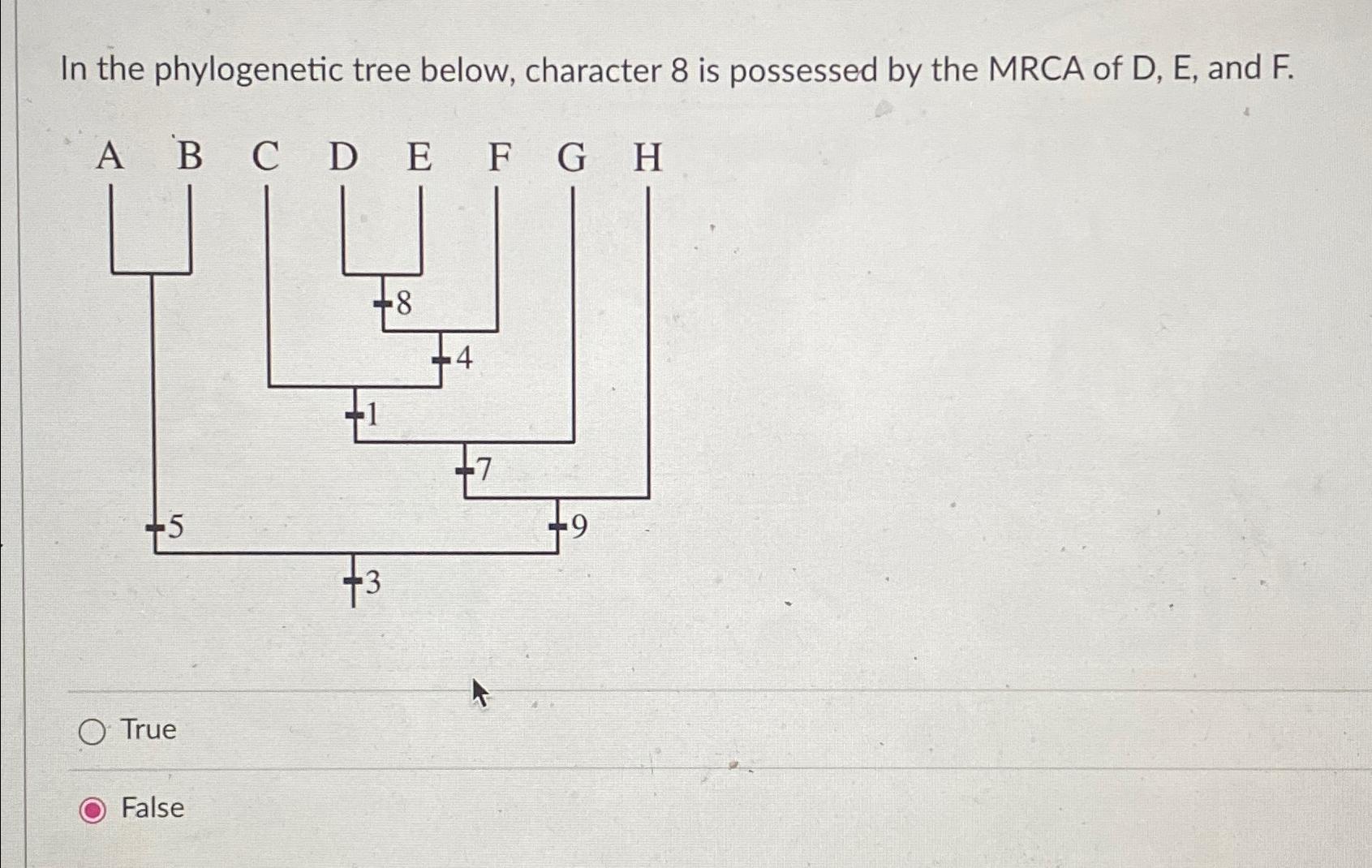 Solved In the phylogenetic tree below, character 8 ﻿is | Chegg.com