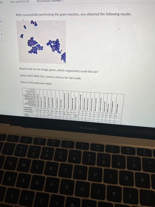 After successfully performing the gram reaction, you | Chegg.com
