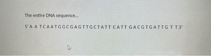 Solved please show 3' to 5' template strand, mrna transcript | Chegg.com