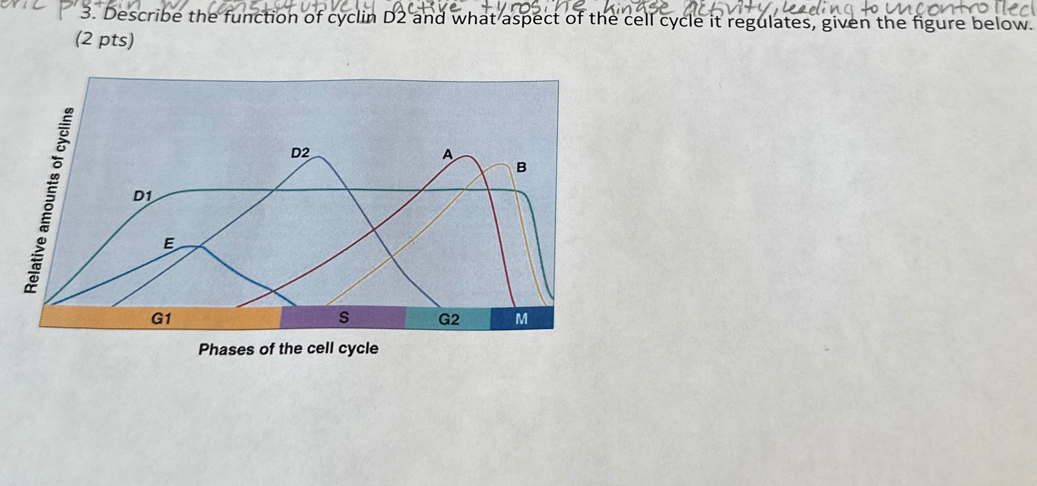 Solved Bescribe the function of cyclin D2 ﻿and what aspect | Chegg.com
