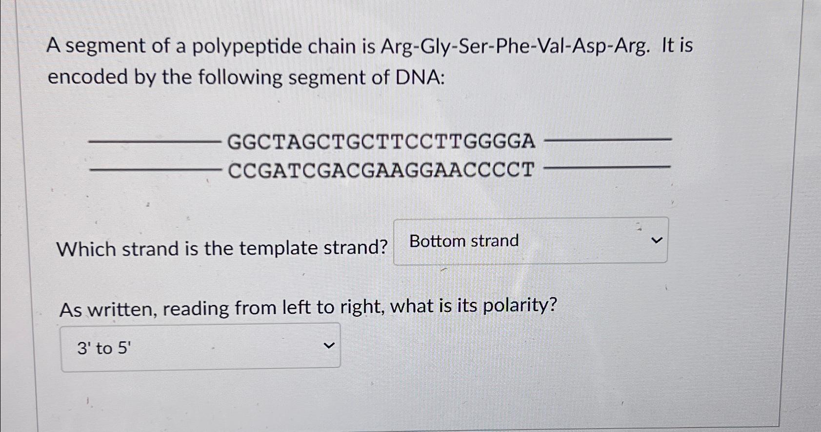 Solved A segment of a polypeptide chain is | Chegg.com
