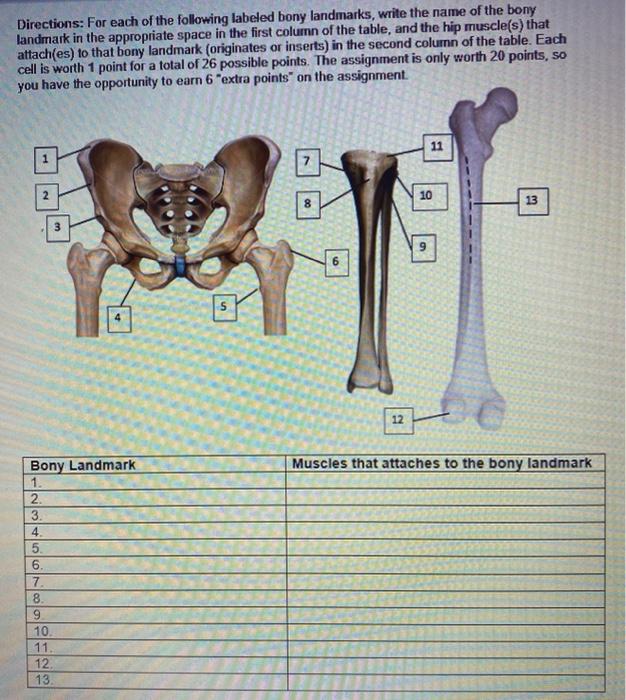 Solved Directions: For each of the following labeled bony | Chegg.com