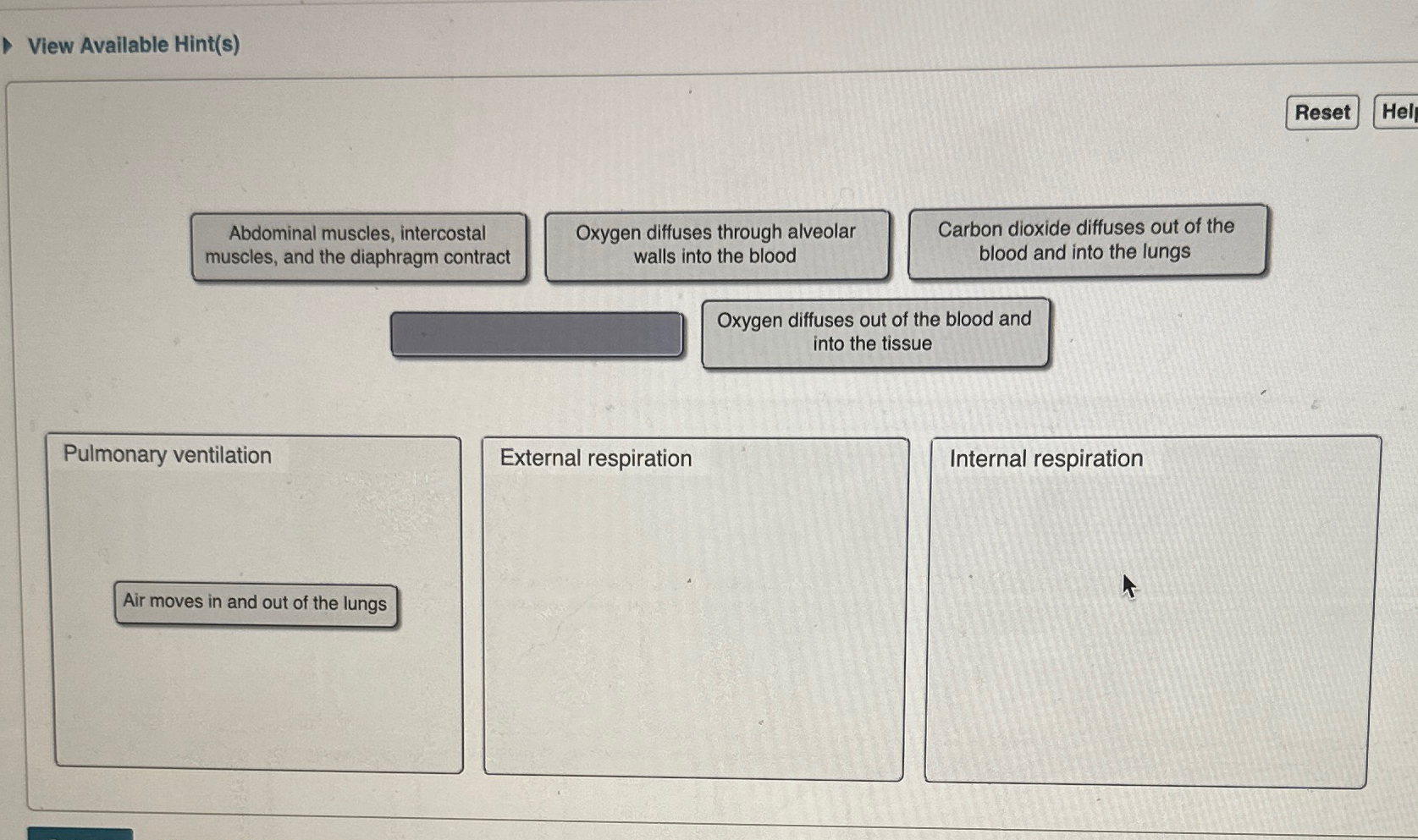 Solved View Available Hint(s)Abdominal muscles, | Chegg.com