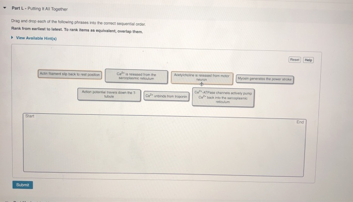 Solved - Part L. Putting It All Together Drag and drop each | Chegg.com