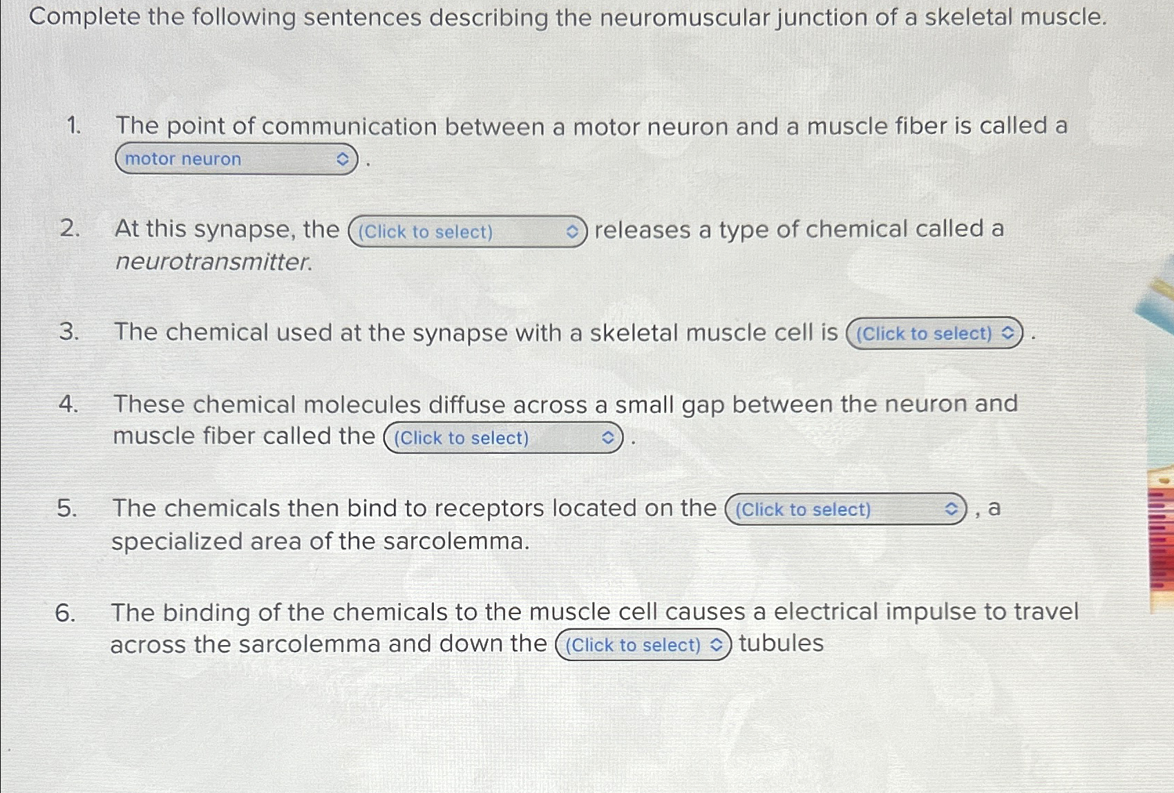 Solved Complete the following sentences describing the | Chegg.com