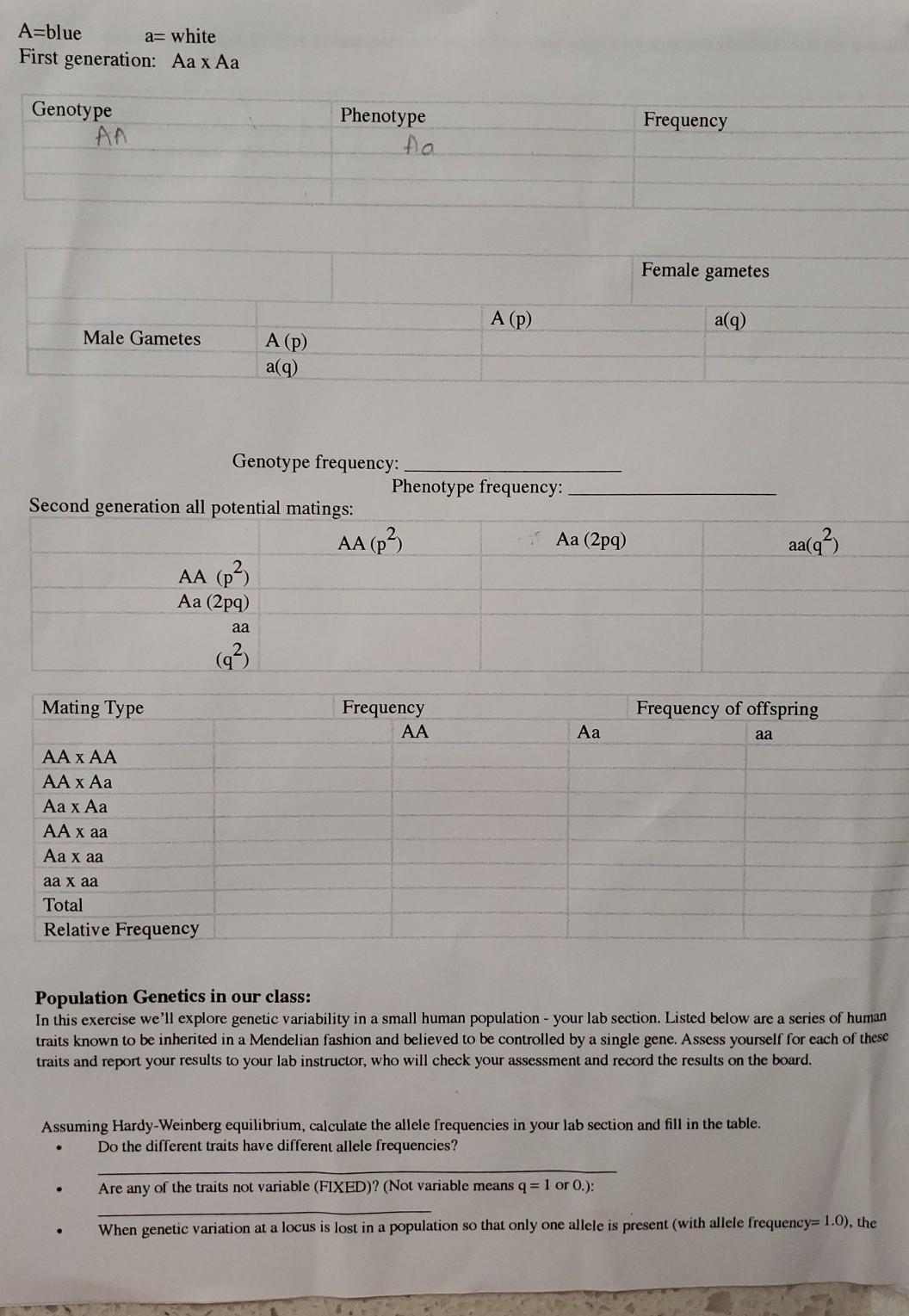 Solved First generation: Aa x Aa Genotype AA Phenotype | Chegg.com