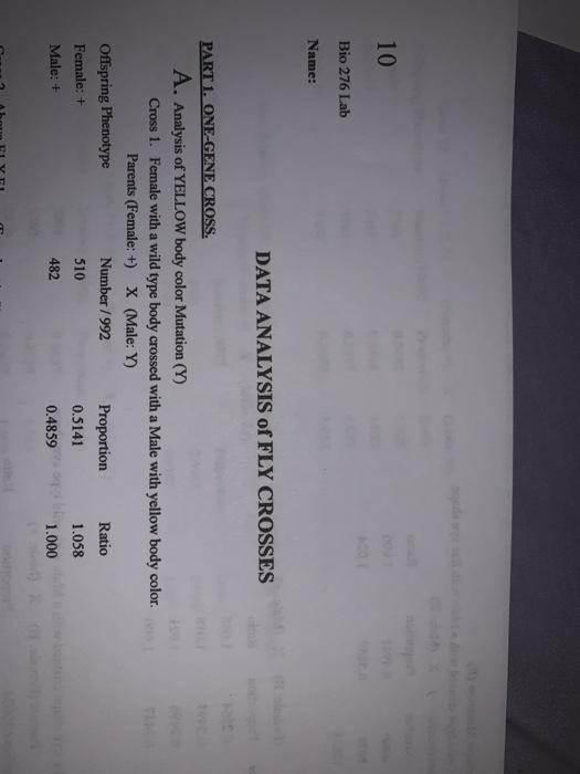 BIOL276 Virtual Fly Lab Simulation Review of | Chegg.com