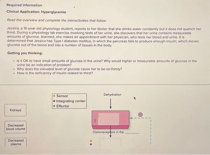 Solved Kidneys Decreased blood volume Decreased plasma | Chegg.com