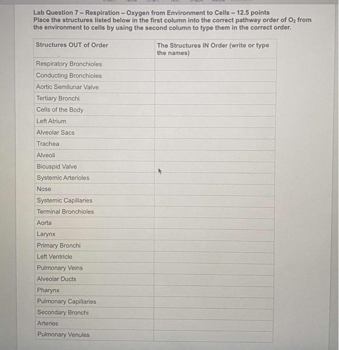 Solved View Zoom Add page Insert Table Chart Text Shape | Chegg.com